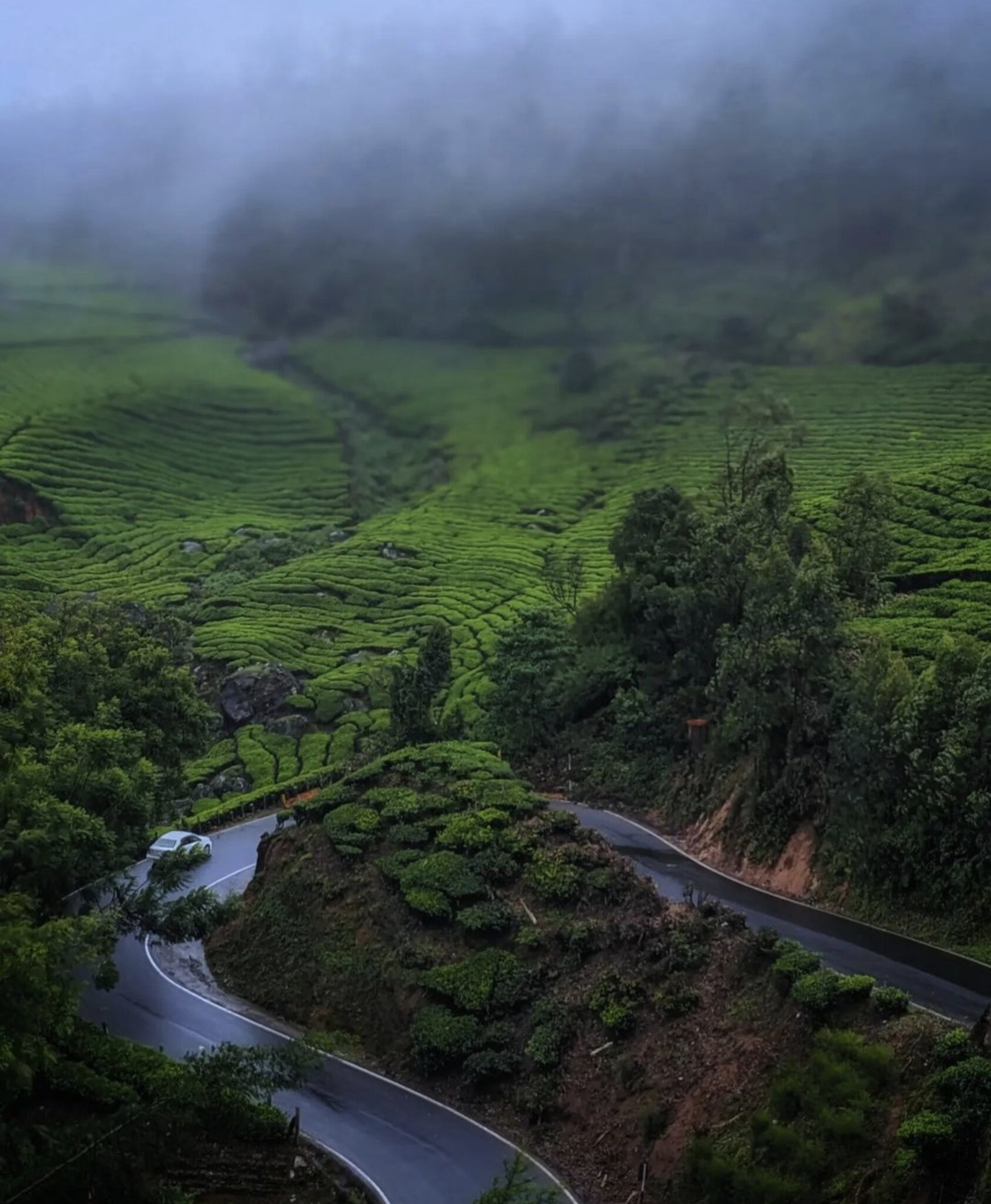 Behind the lens: Meet Swiggy's passionate photographers - Swiggy Diaries