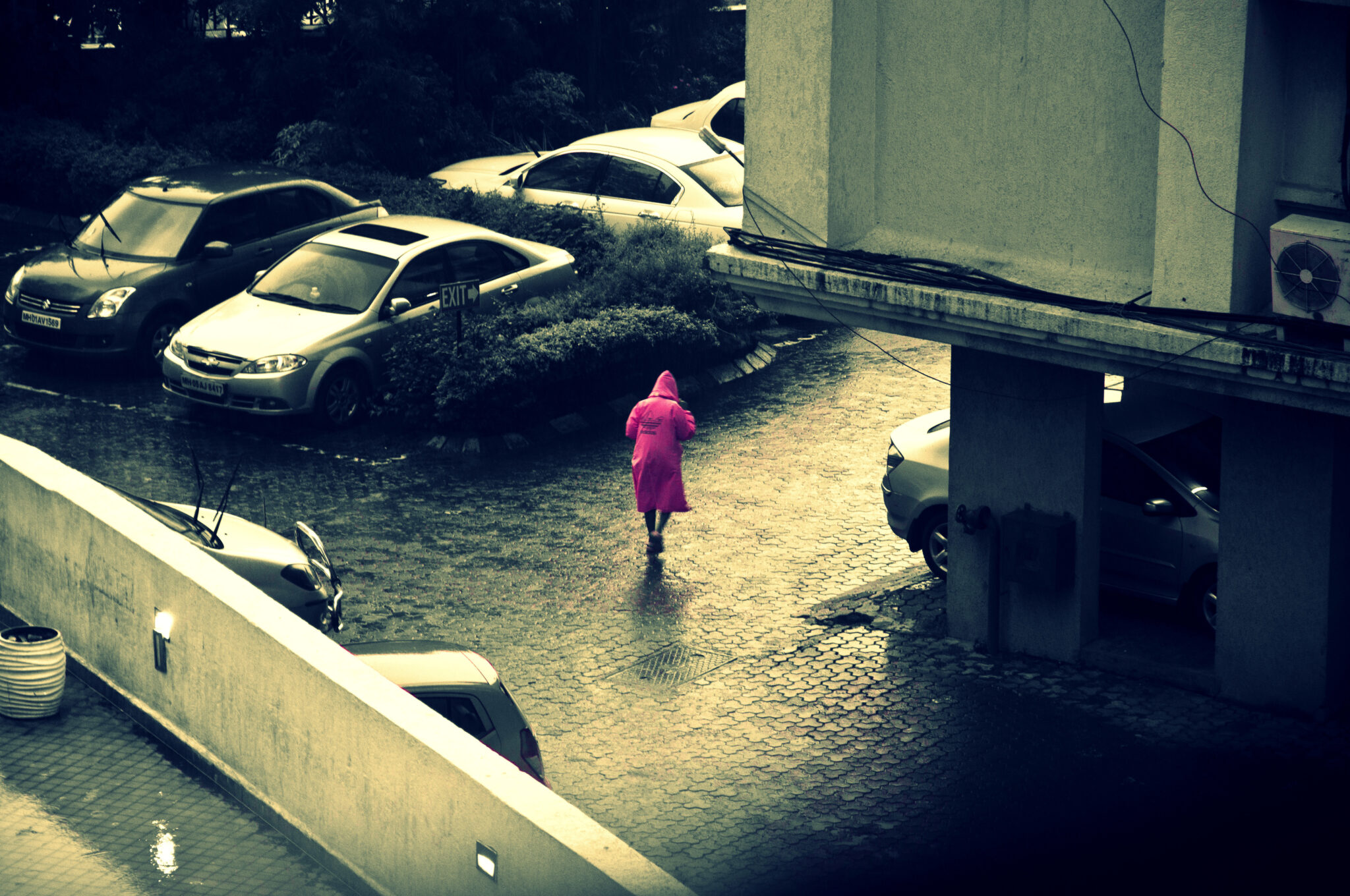 Behind the lens: Meet Swiggy's passionate photographers - Swiggy Diaries