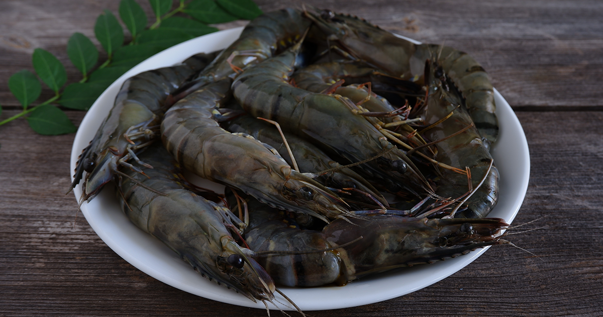 Exploring the Top 4 Types of Prawns: A Culinary Dive - Swiggy Diaries