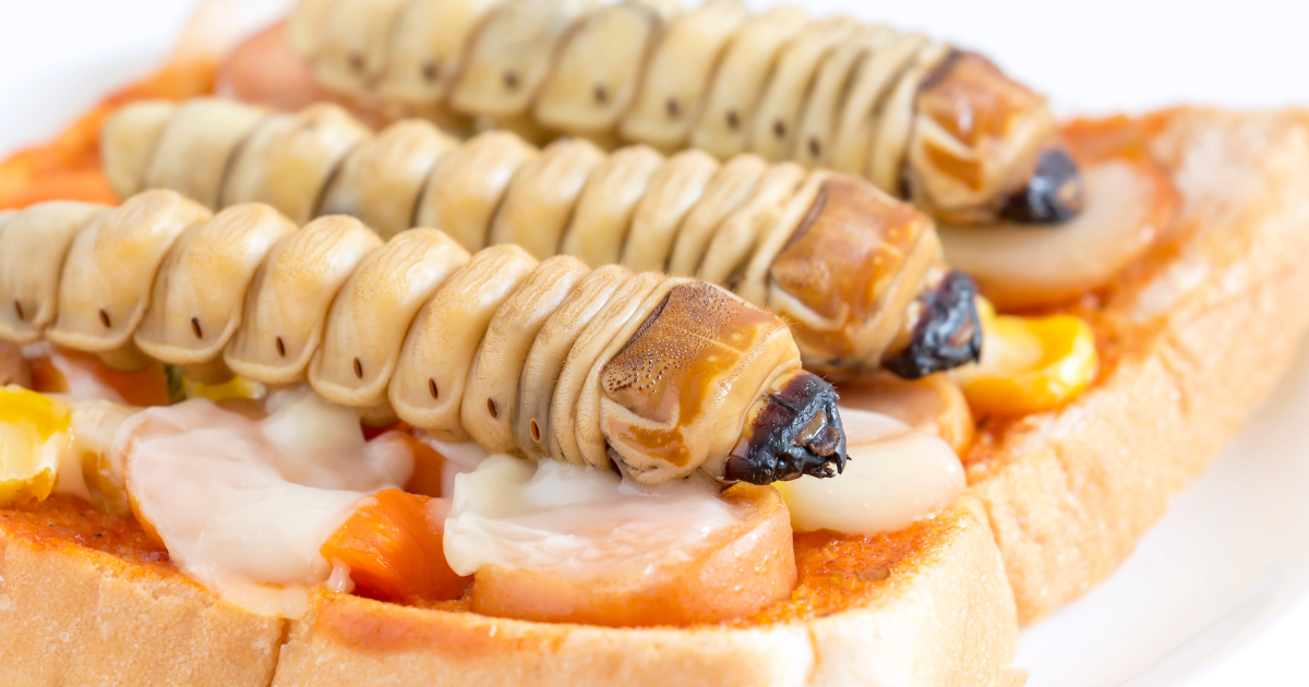 10 Must-Try Australian Cuisine Dishes Everyone Should Try - Swiggy Diaries